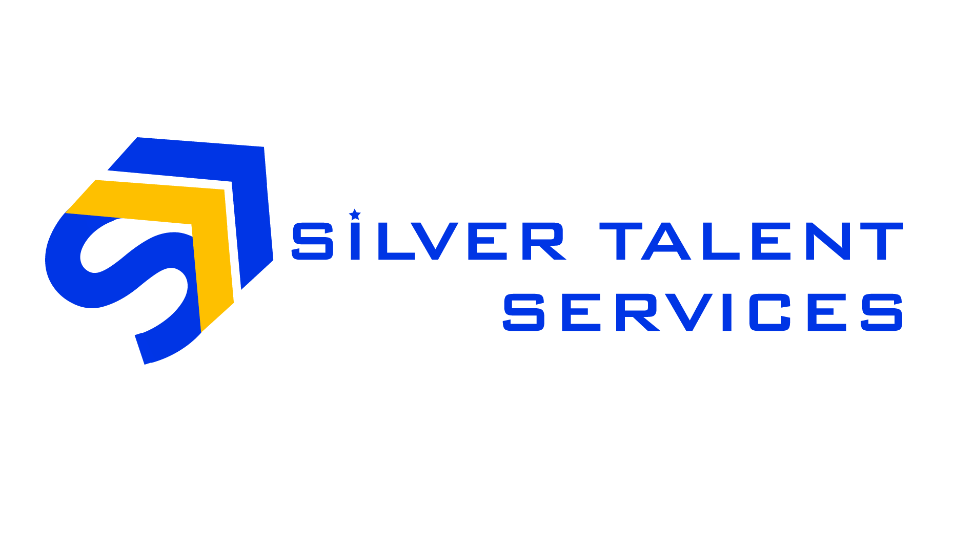 Executive Search, Staffing, HR & Payroll Outsourcing in India | Silver ...